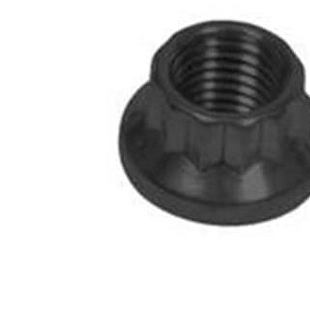 M10 x 1.25 12 Point Nut Kit, Black Oxide - Walmart.com