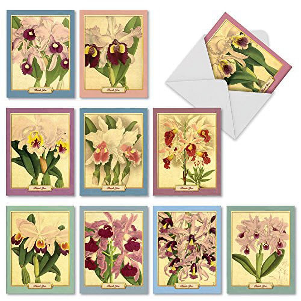 M10038TY VINTAGE ORCHIDS' 10 Assorted Thank You Note Cards With Lovely ...