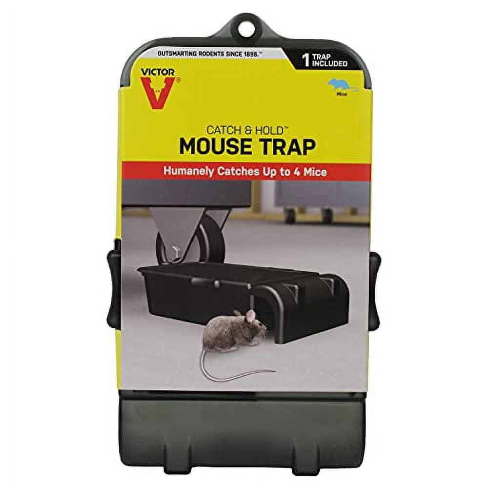 M333 Multiple Catch Humane Outdoor and Indoor Mouse Trap - Walmart.com