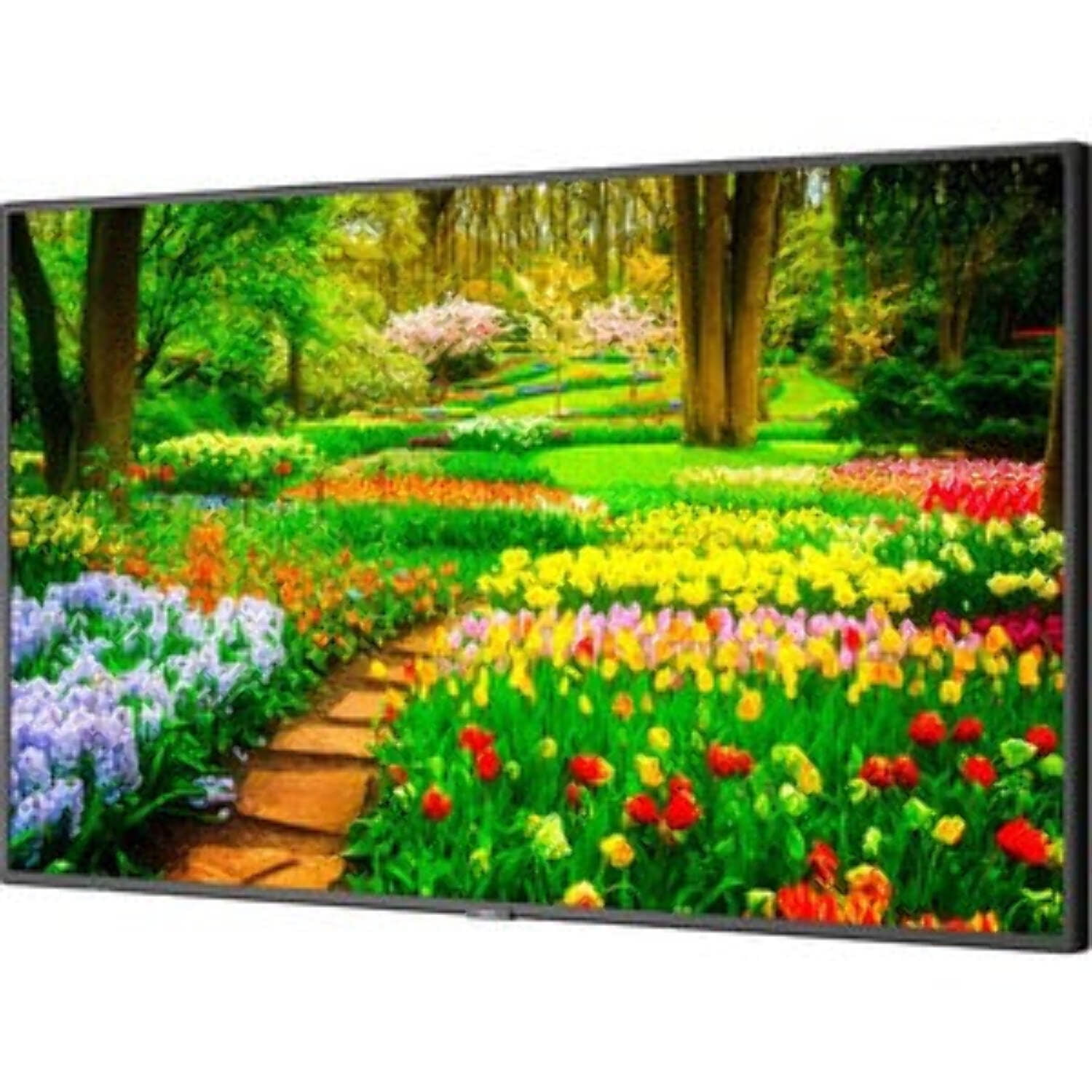 Sharp NEC Display 49" Ultra High Definition Professional Display with ...