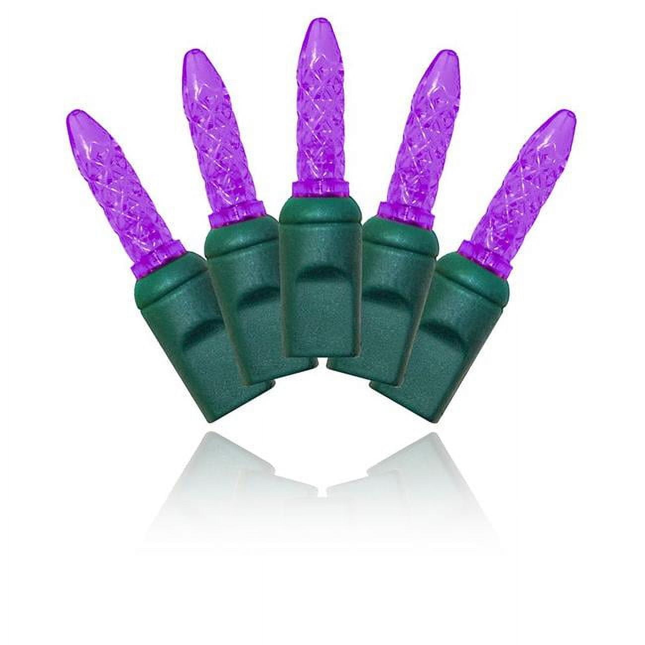 M5 LED Lights with 4 in. Spacing Wire, Green & Purple - 70 Count ...