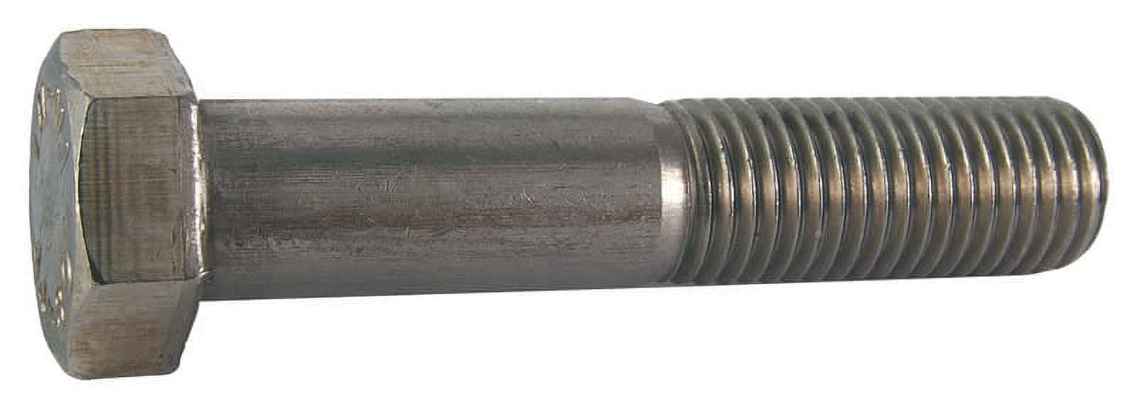 M6-1.0 x 55mm Hex Head Cap Screws, Stainless Steel A4, Plain Finish ...