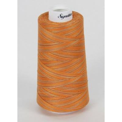 Signature Variegated Quilting Thread, 3000yds - Walmart.com
