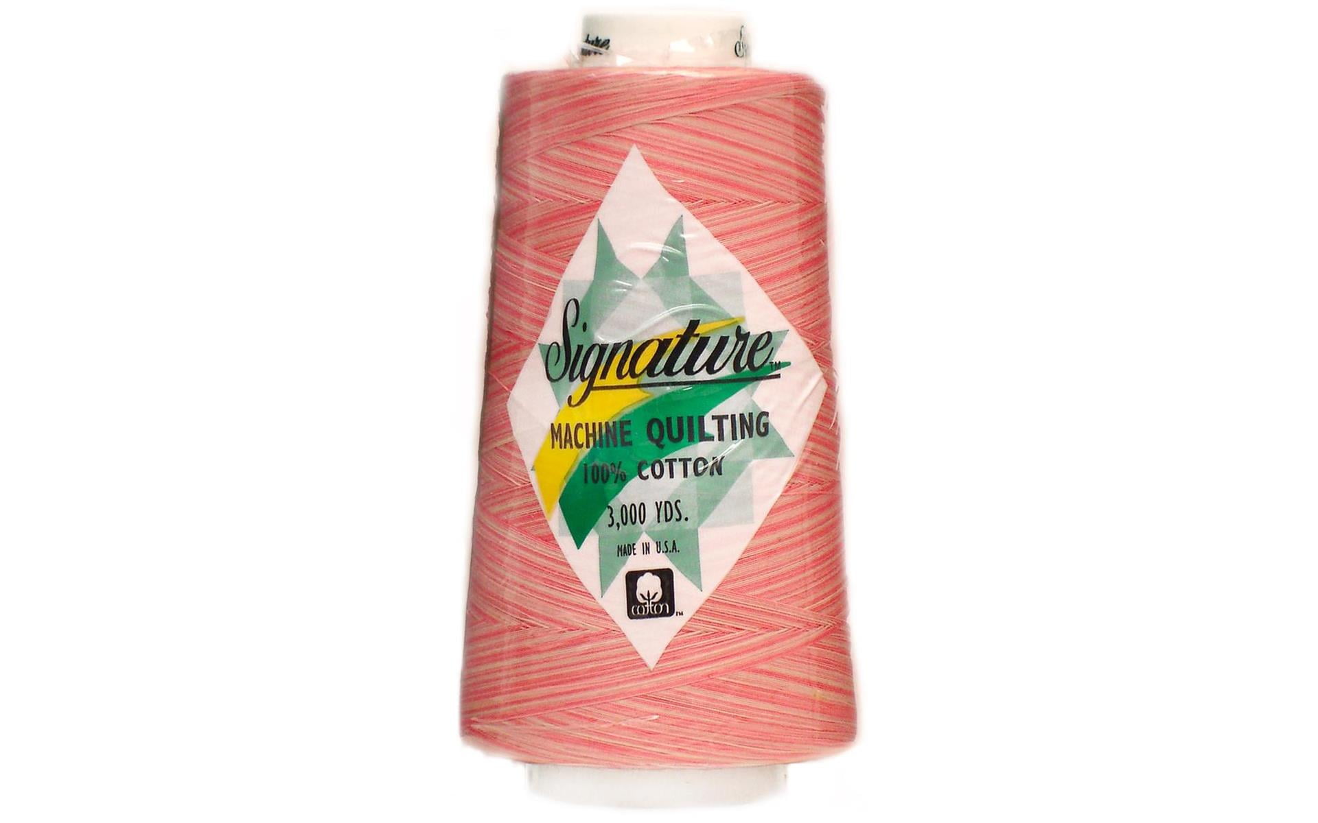 Signature Variegated Quilting Thread, 3000yds - Walmart.com