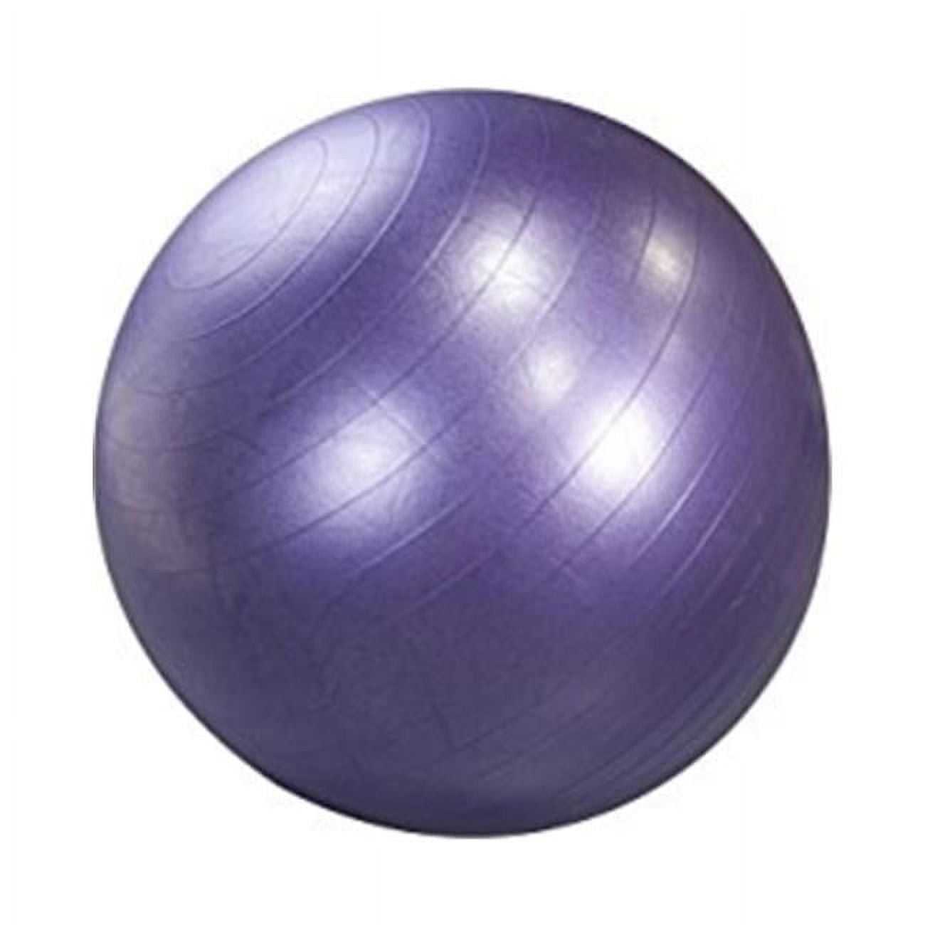 MAHA Fitness MY-112 55cm Fitness Stay Ball - Walmart.com