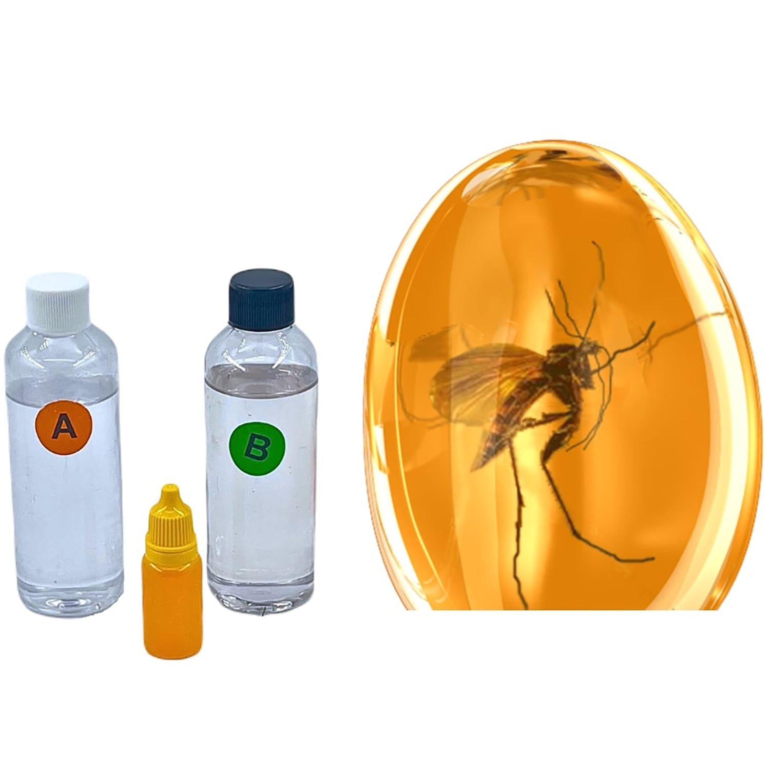 MAKERLAB: DIY Fossilized Insect Casting Kit - Create 2 Mosquito Fossils ...