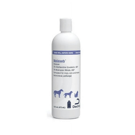 Bayer Medicated Malaseb Shampoo for Dogs and Horses, 16 oz - Walmart.com