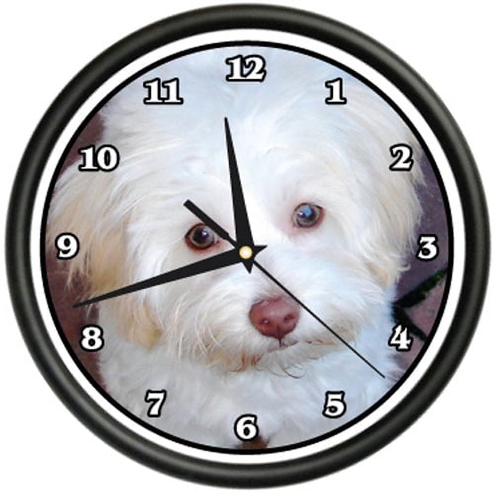 MALTIPOO Wall Clock dog doggie pet breed gift - Walmart.com
