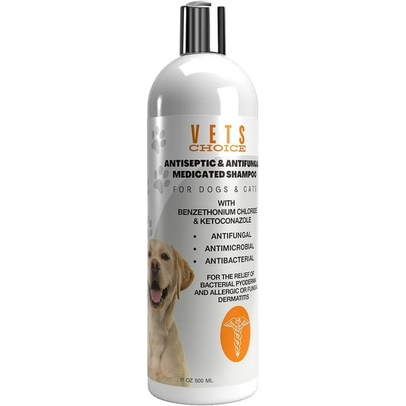 Chlorhexidine Shampoo