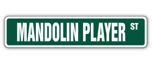 MANDOLIN PLAYER Street Sign lute string music lesson teacher | Indoor ...