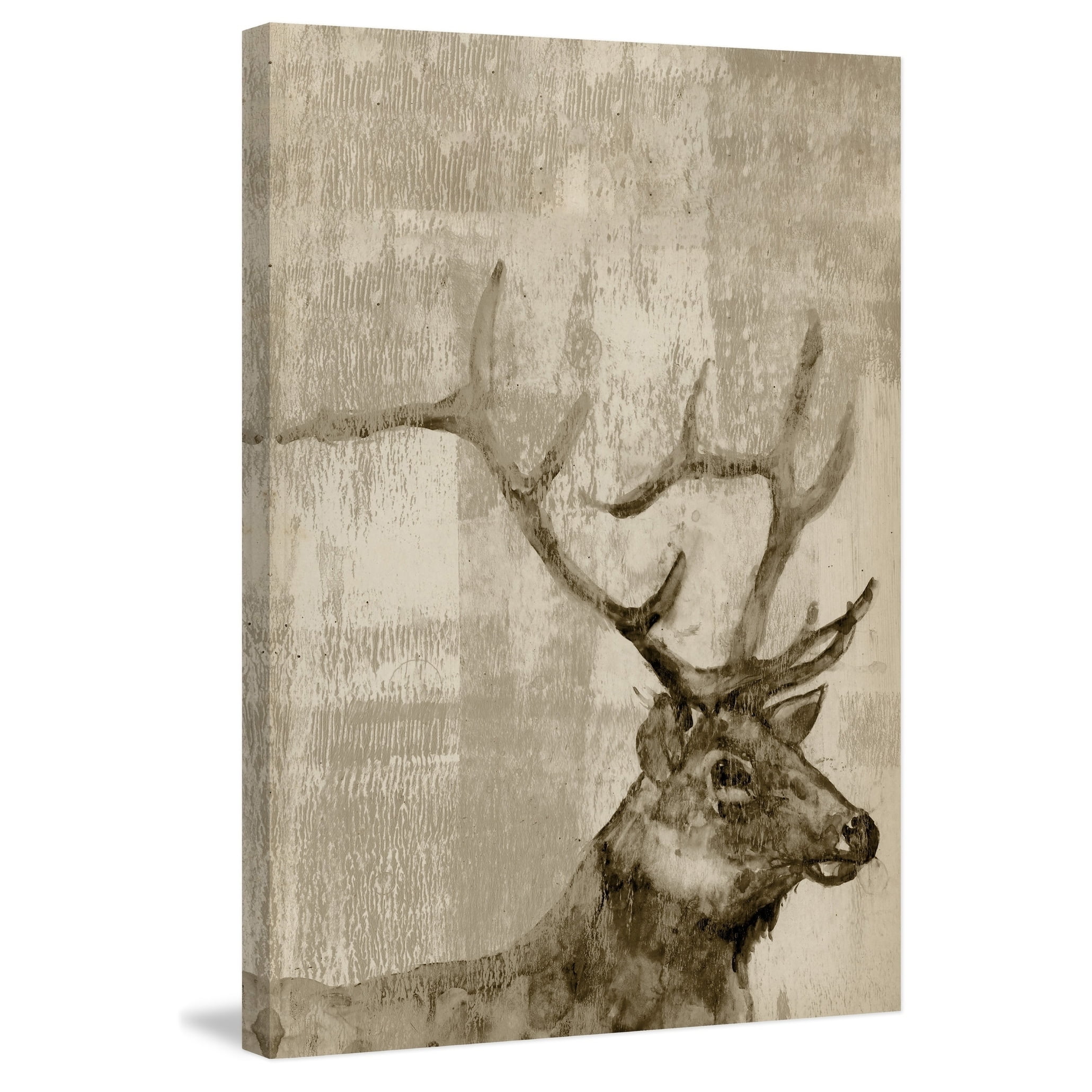 MARMONT HILL - Handmade Curious Buck Print on Wrapped Canvas 8 x 12 ...