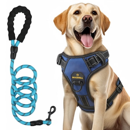 1/2in Dapper Dog 9-14 H-Style Cat Harness - Walmart.com