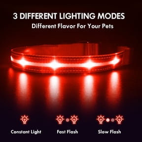 LED Dog Collar USB Rechargeable Glowing, Pet Collars Lighted Up Safety ...