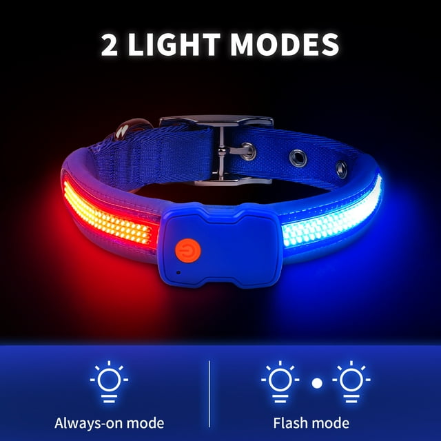 MASBRILL LED Dog Collar - USB Rechargeable, Water Resistant, 1,000ft ...