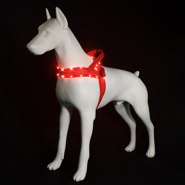 MASBRILL Light Up Dog Harness, Reflective Led Dog Harness Glow-in-The ...