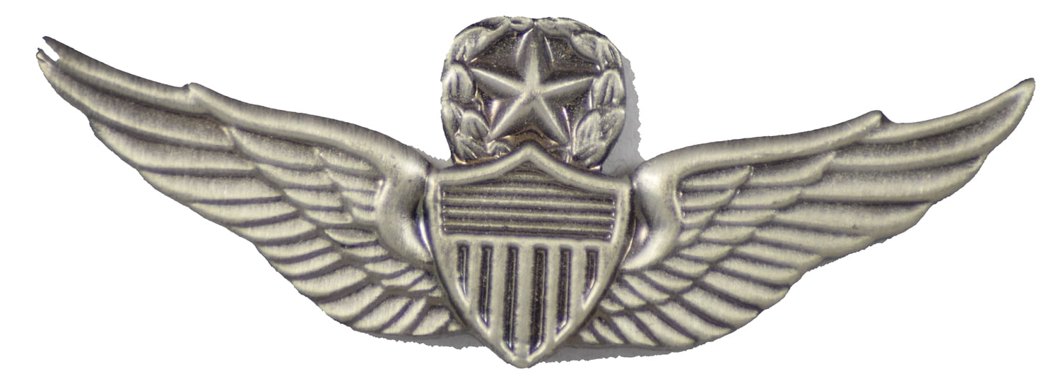 MASTER ARMY AVIATOR HAT PIN - Walmart.com