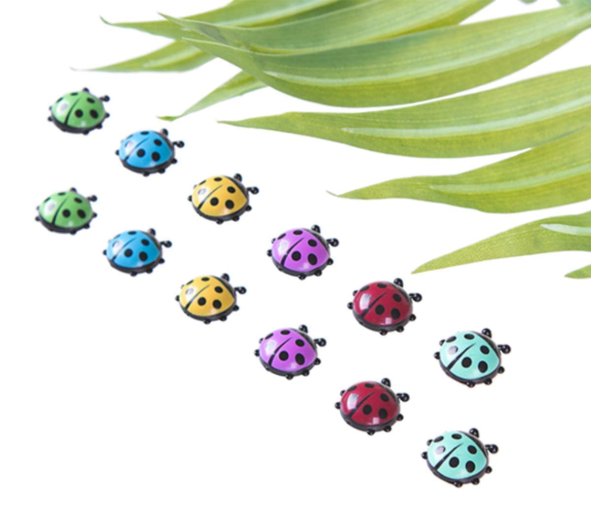 MATN TabEnter Decorative Refrigerator Magnets, Perfect Fridge Magnets ...