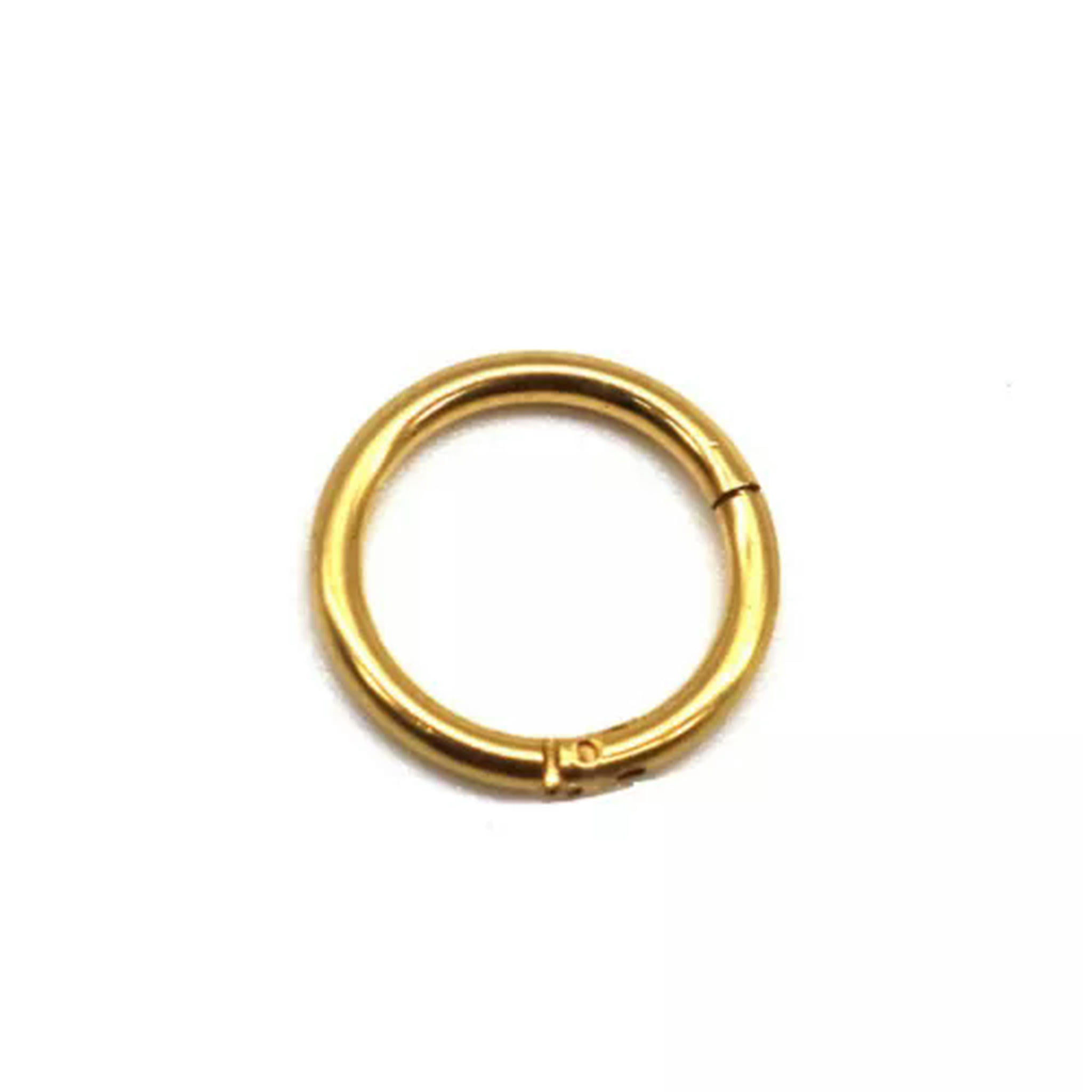 MATROOY Piercing Septum Clicker Titanium Segment Ring Hinge Nose Lip ...