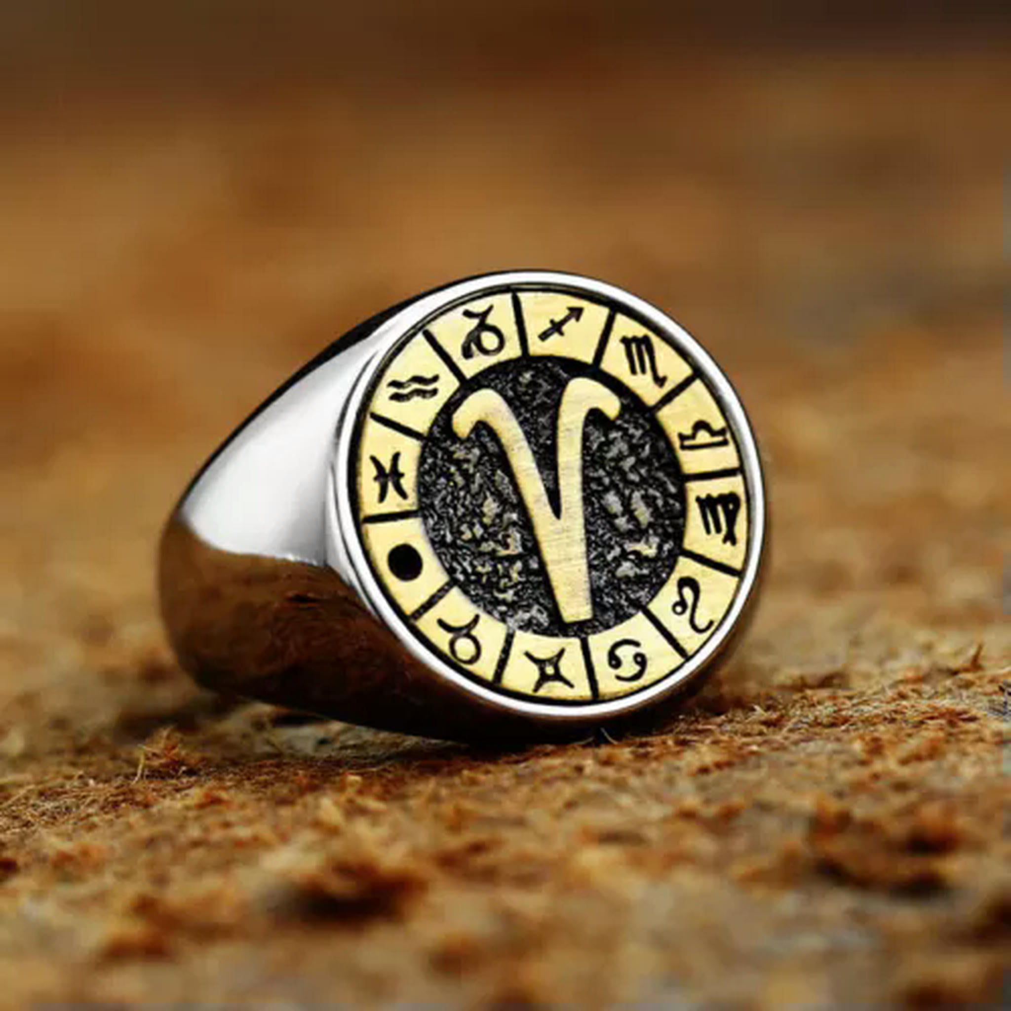 MATROOY Retro Signs Of The Zodiac Constellation Ring Stainless Steel ...