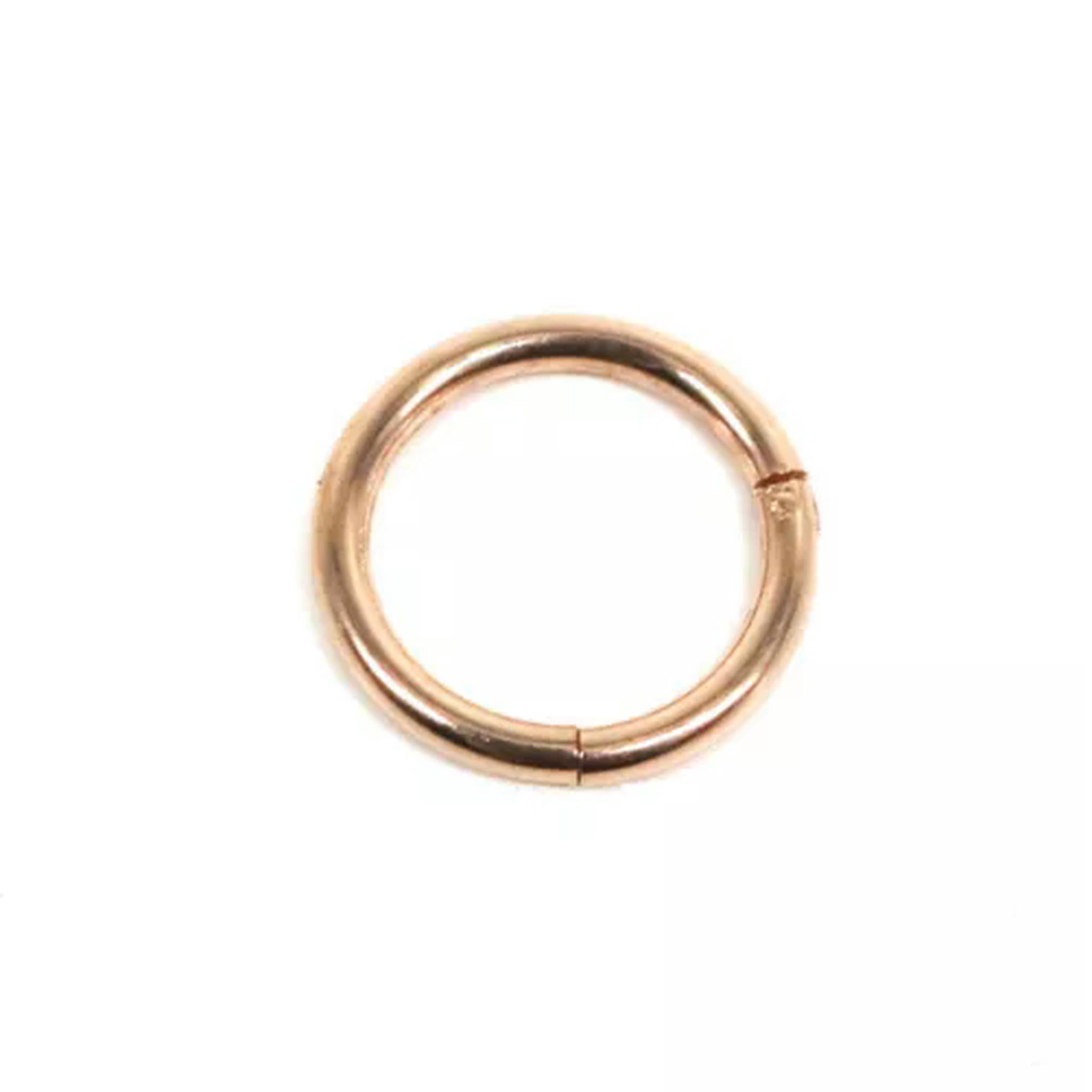 MATROOY Surgical Steel Nose Ring Ear Lip Ring Hinged Clicker Ring Hoop ...