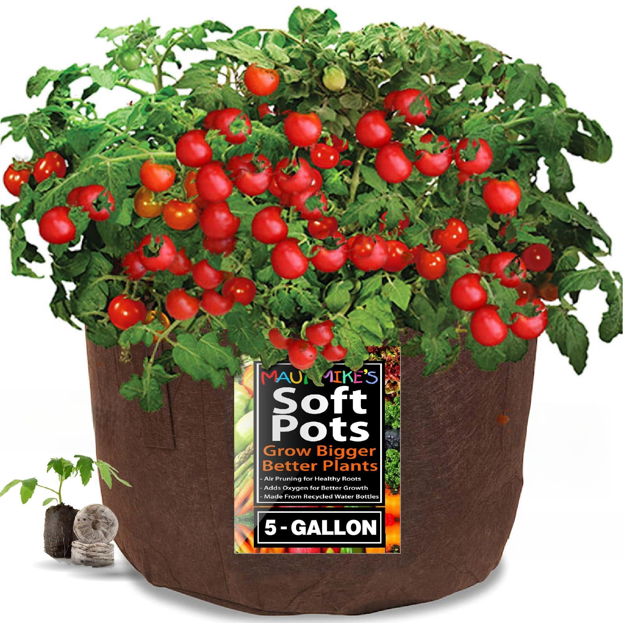 MAUI MIKE'S - Indoor Cherry Tomato MVR1 Seed Grow Kit- Starter Soil ...
