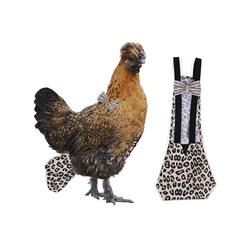 MAUXDA Clearance 3 Sizes Farm Pet Chicken Poultry Cloth Diaper ...