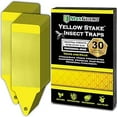 MAXGUARD (30 Pack) Yellow Stake Sticky Insect/Bug Traps - Catch and ...