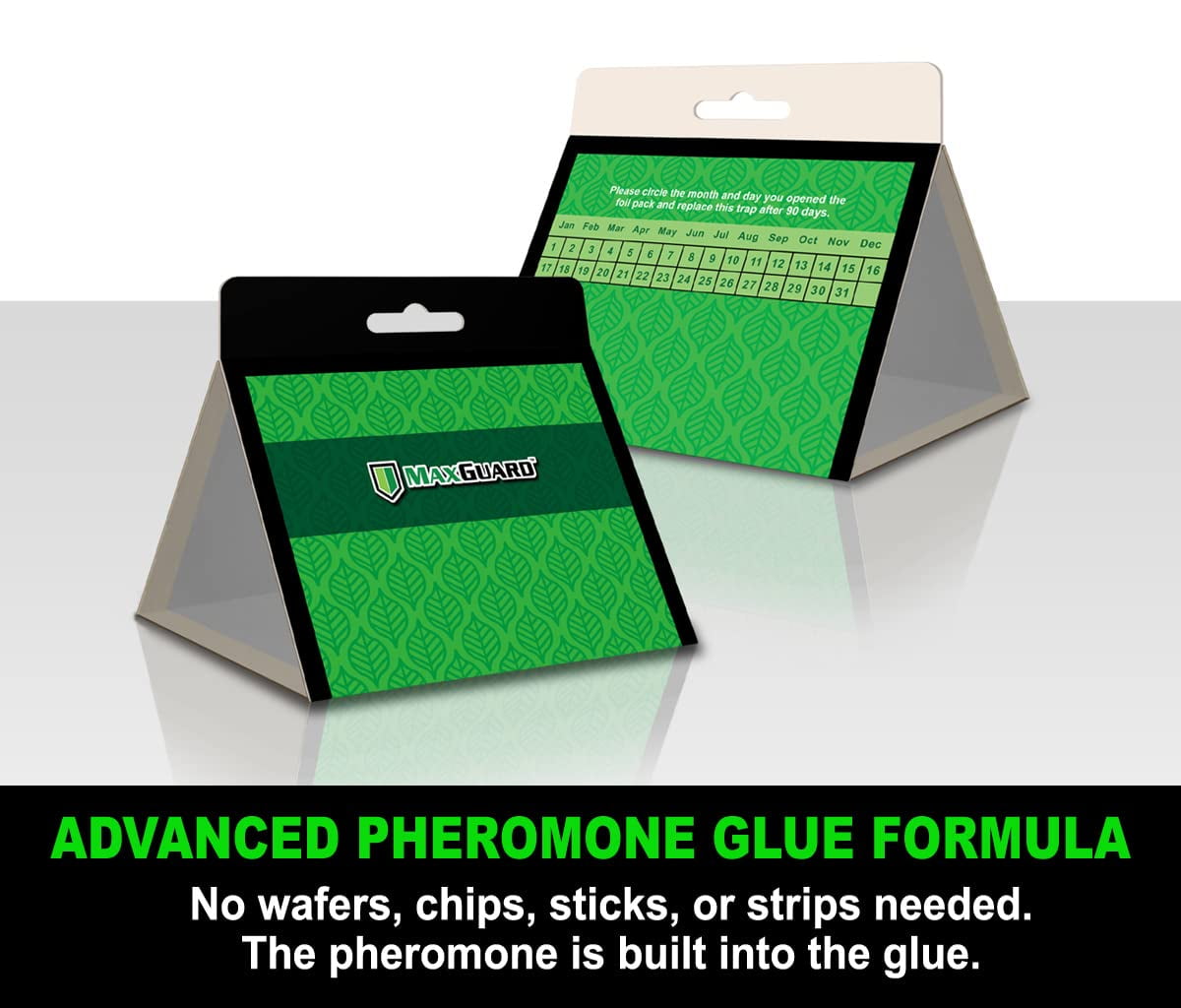 MAXGUARD Pantry Moth Traps (12 Pack +2 H2FSDFree) Extra Strength ...