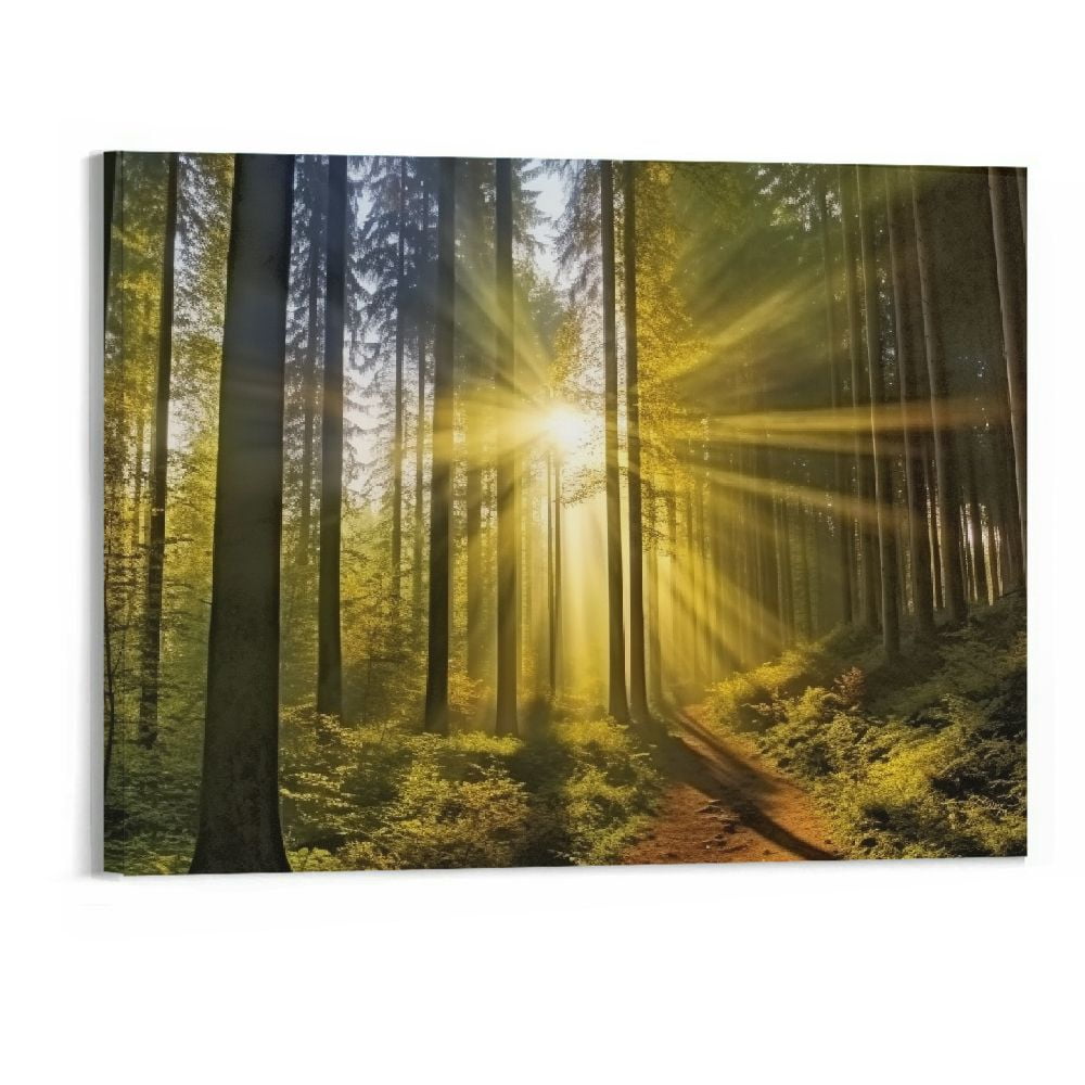 MAXPRESS Green Nature Wall Art for Living Room 20x16 Forest Landscape ...