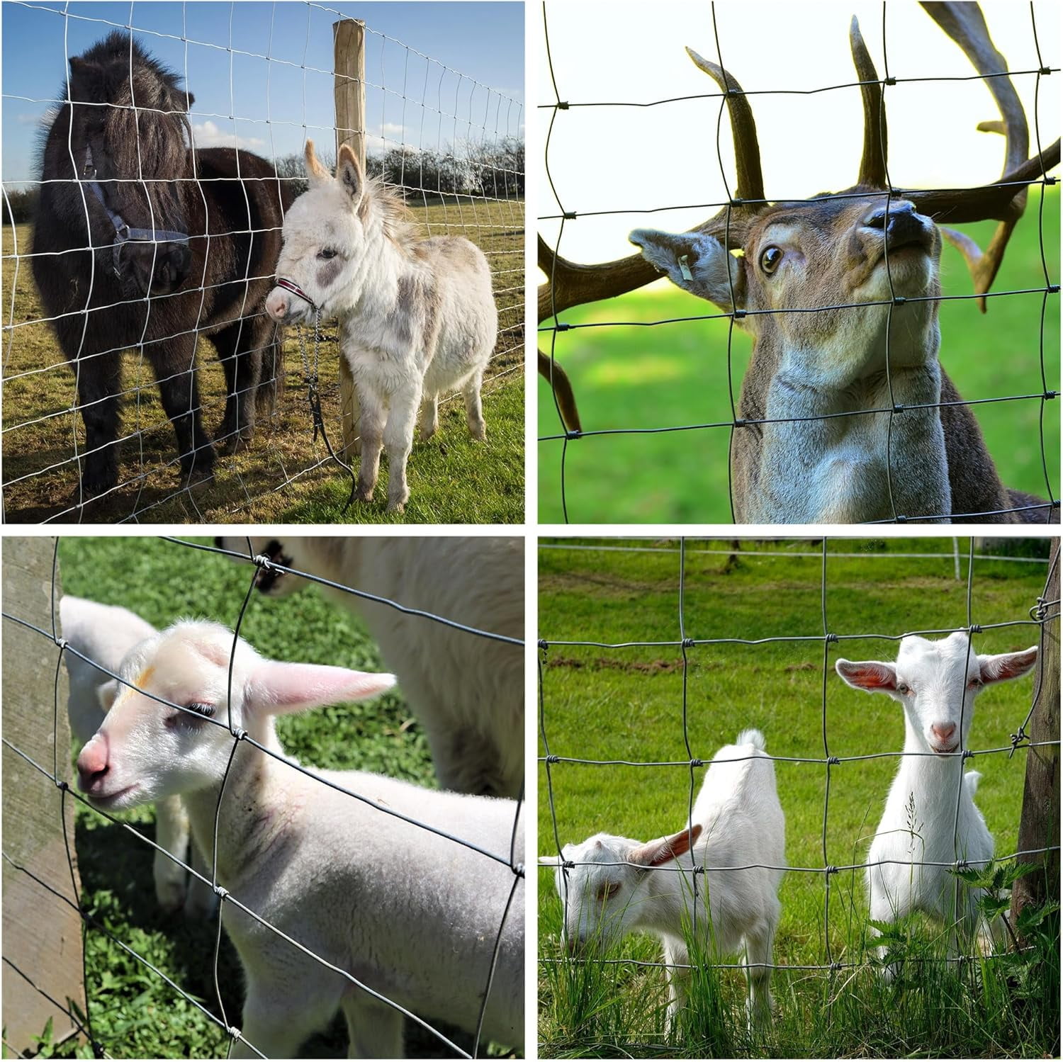 MAYEERTY Farm Fence 5ft x 164ft 14Gauge Heavy Zinc Coating Cattle Fence ...
