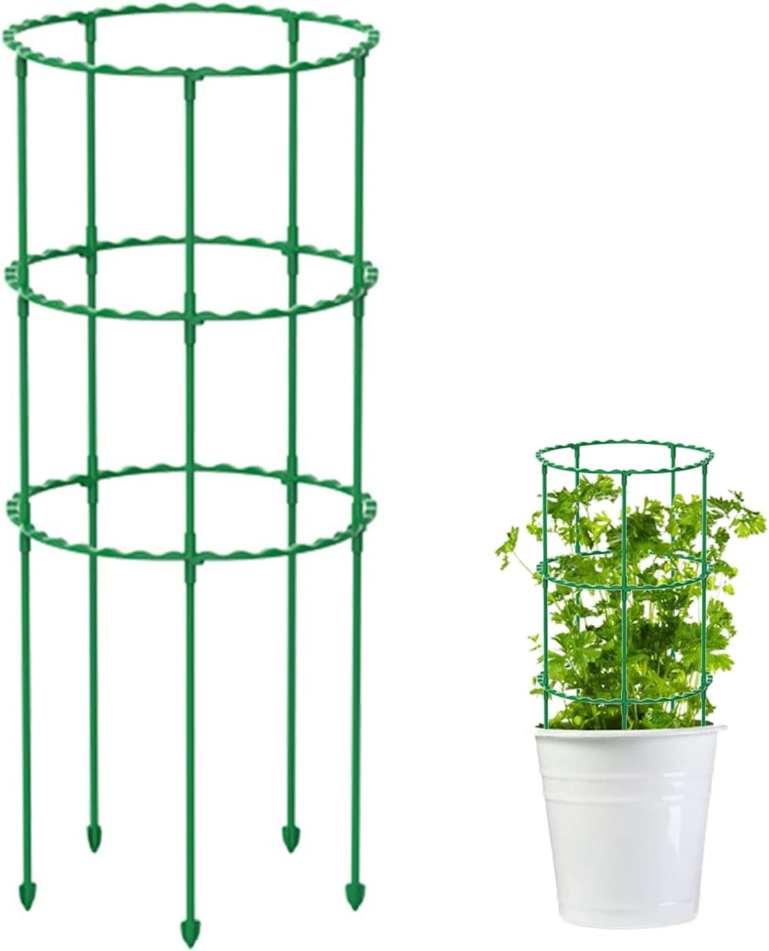 MAYUJIAASE Tomato Cages，Round Plant Support Stakes Ring，Garden ...