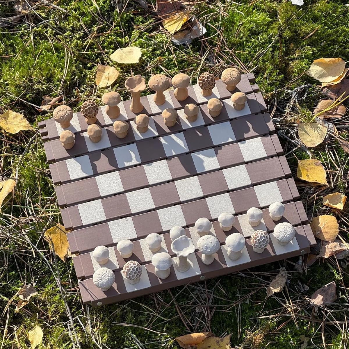 MAgnetic Forest Mushrooms Chess, 2025 New Wooden Chess Botany Board Set ...