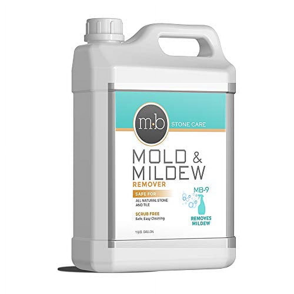MB-9 Mold & Mildew - Walmart.com