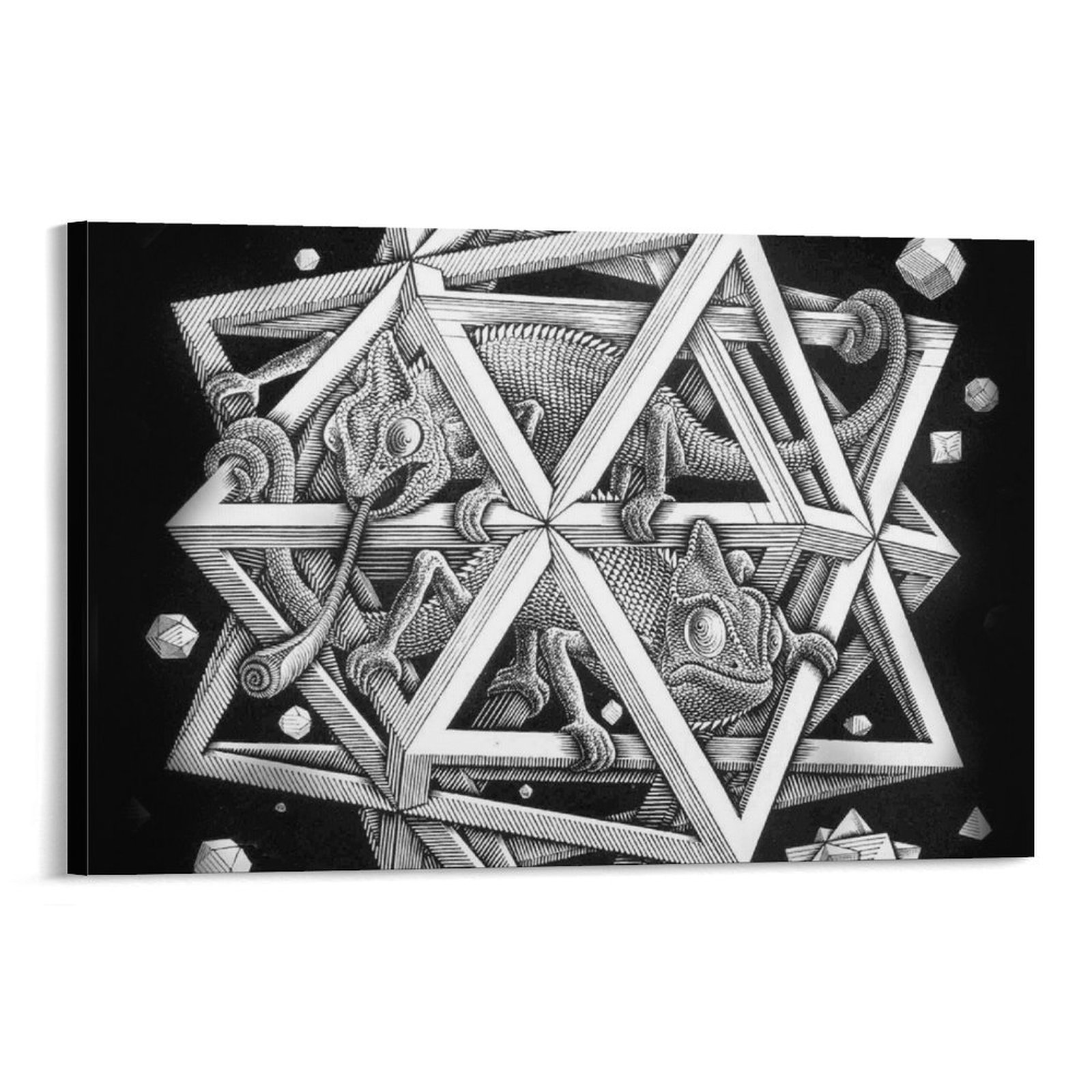 MC Escher Abstract Print Painting Black And White Poster (11) Canvas ...