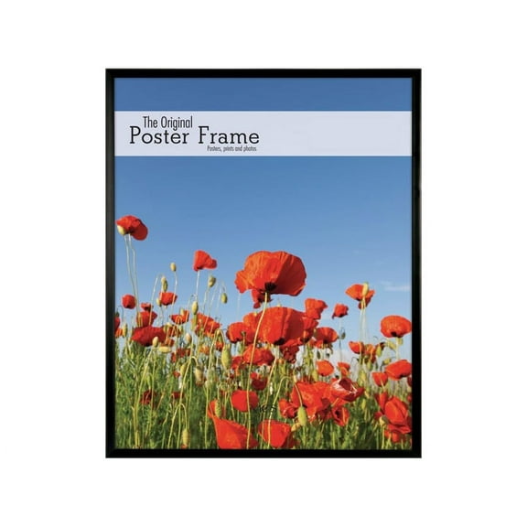 17x11 Poster Frames