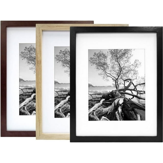 MCS 12x16 Inch Art Frame with 8x12 Inch Mat Opening, Black (47563 ...