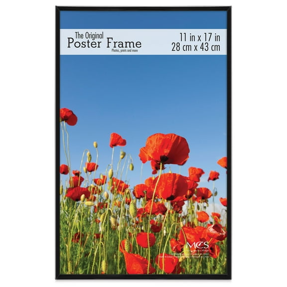 17x11 Poster Frames