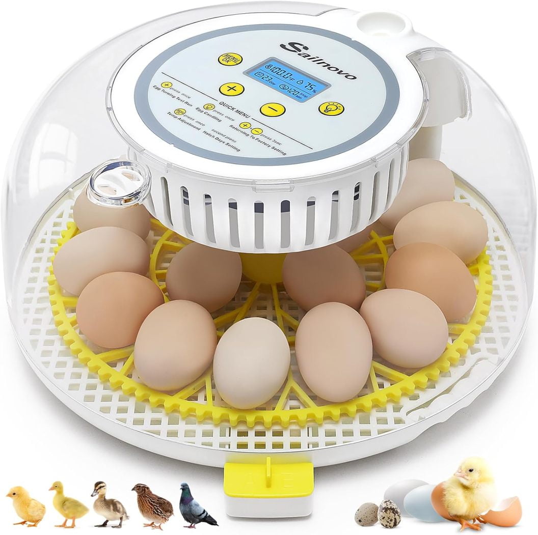 MCTZ 18 Egg Incubator for Hatching Eggs, Chicken Egg Incubator with Automatic Egg Turning ...
