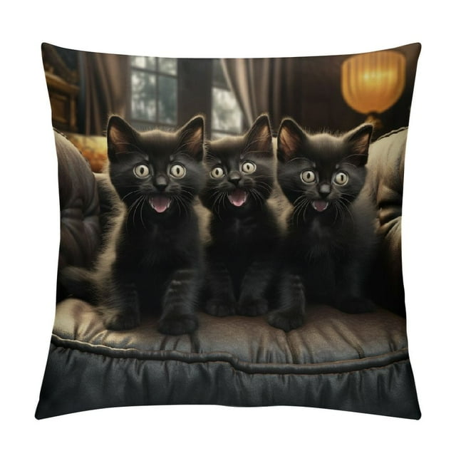 MDO Cute Cats Decorative Throw Pillow Cover Case, Kittens Family Cats ...