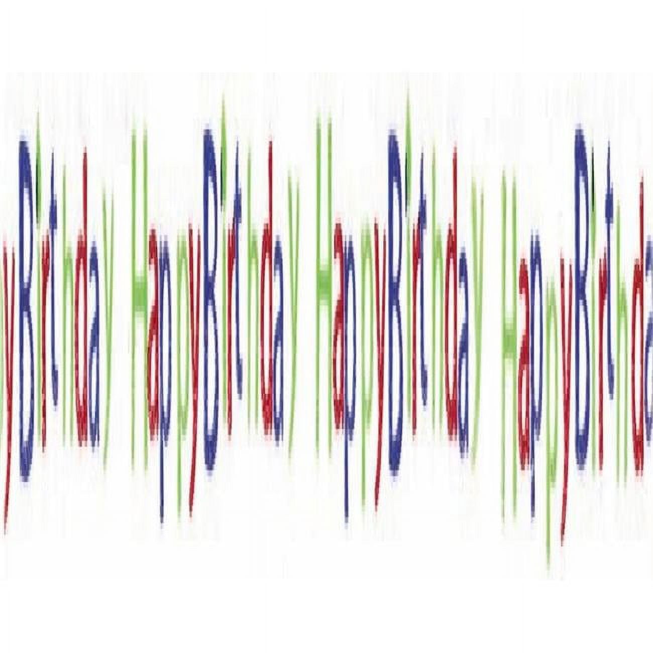 MDR Trading AI-1412-Q02 0.38 in. x 250 Yards Happy Birthday Curling ...