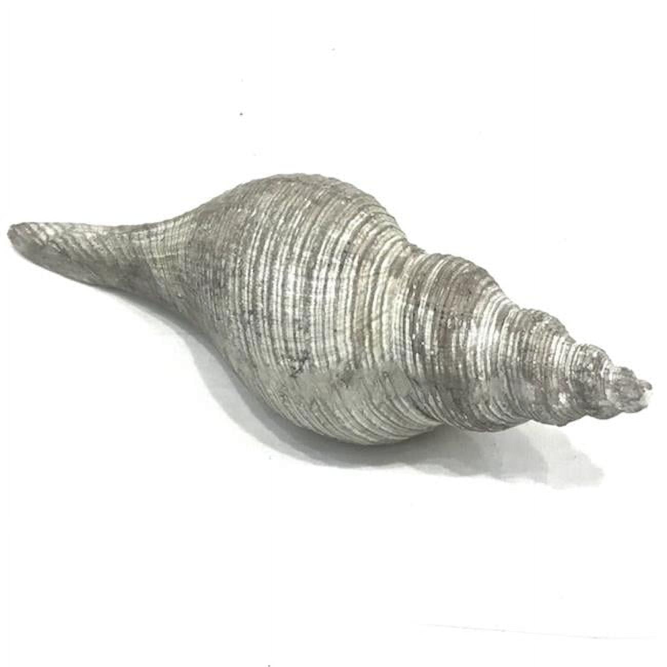 MDR Trading Inc. Seashell Paper Mache Decoration - Walmart.com