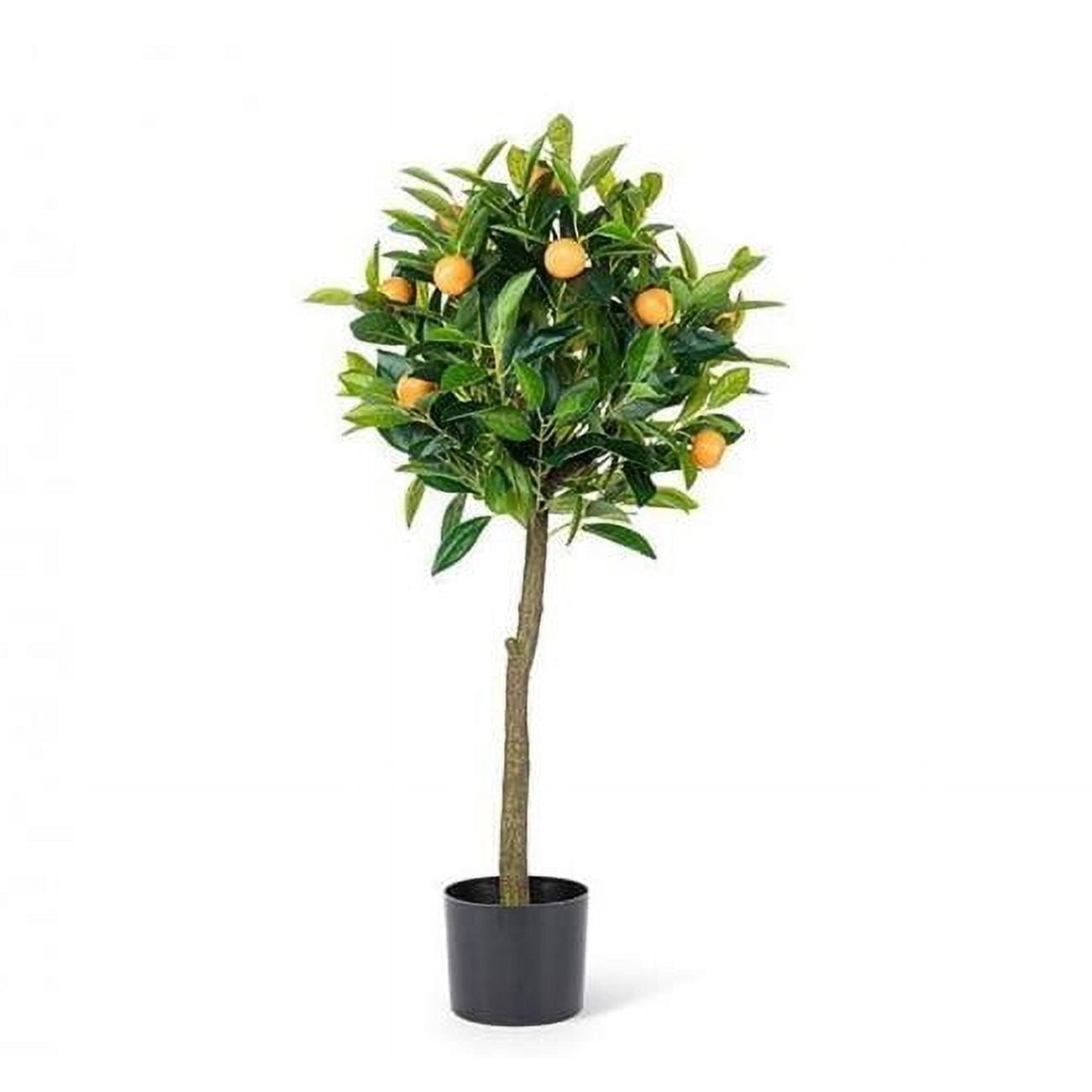 MDR Trading Inc. AB-27-VALENCIA-02-ORANGE Small Topiary Orange Tree ...