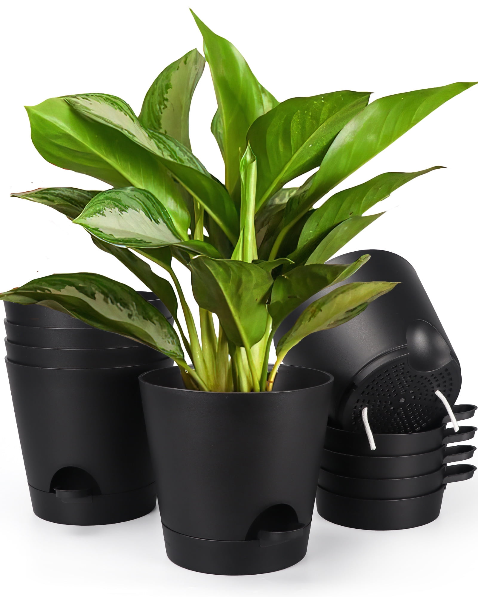 MEBRUDY 8 Inch Self Watering Garden Plant Pots, Set of 6, Black, Indoor ...