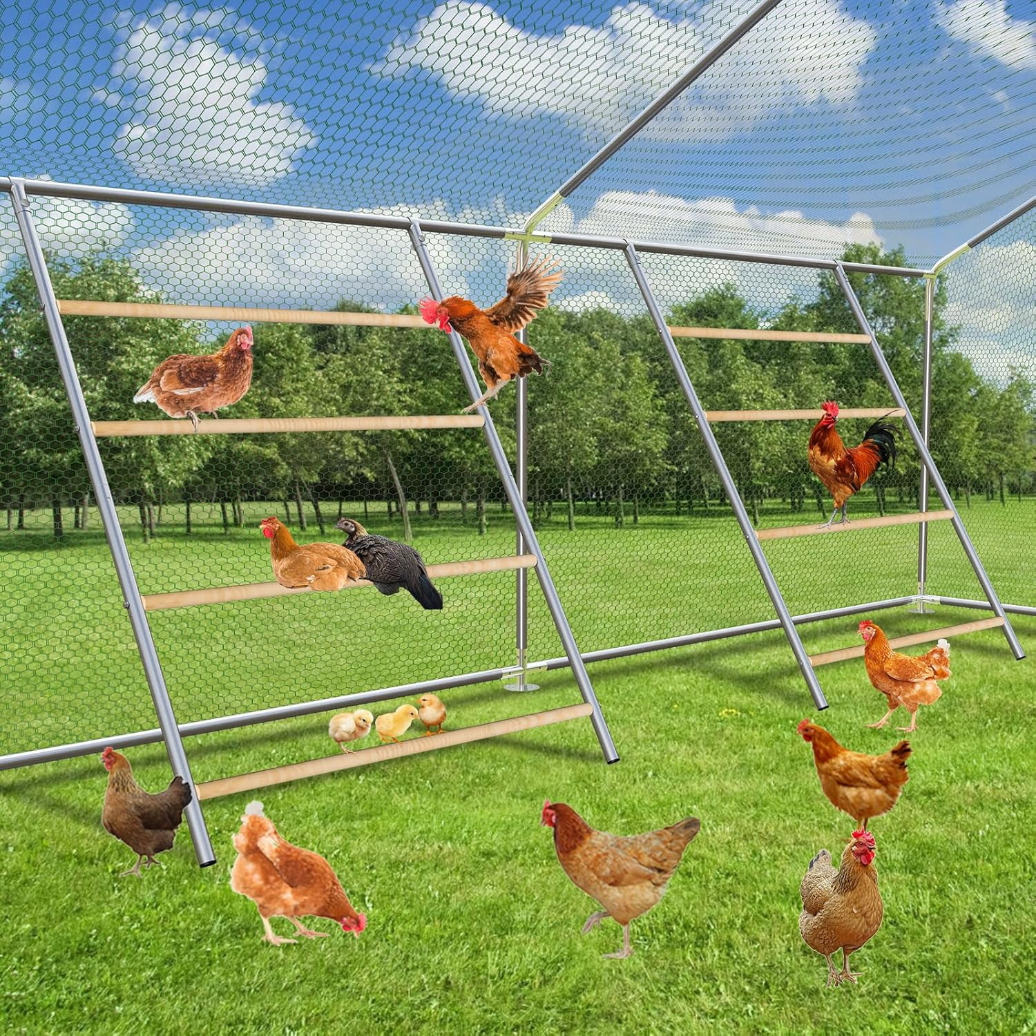 MEETWARM Chicken Perch - Strong Roosting Bars for Backyard Poultry ...
