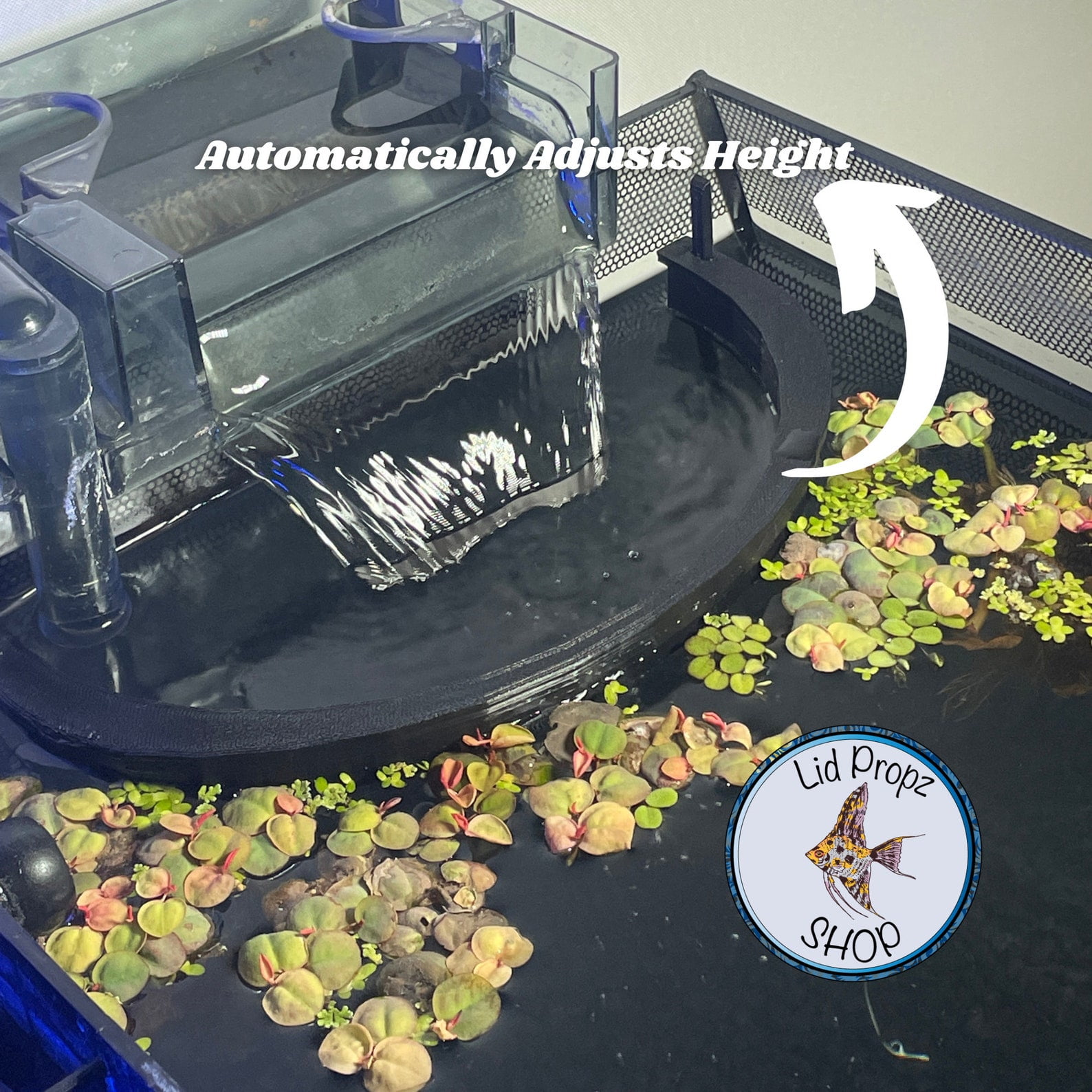 MEGA Fish Tank Cave - 10 Inch Pleco Hide - Walmart.com