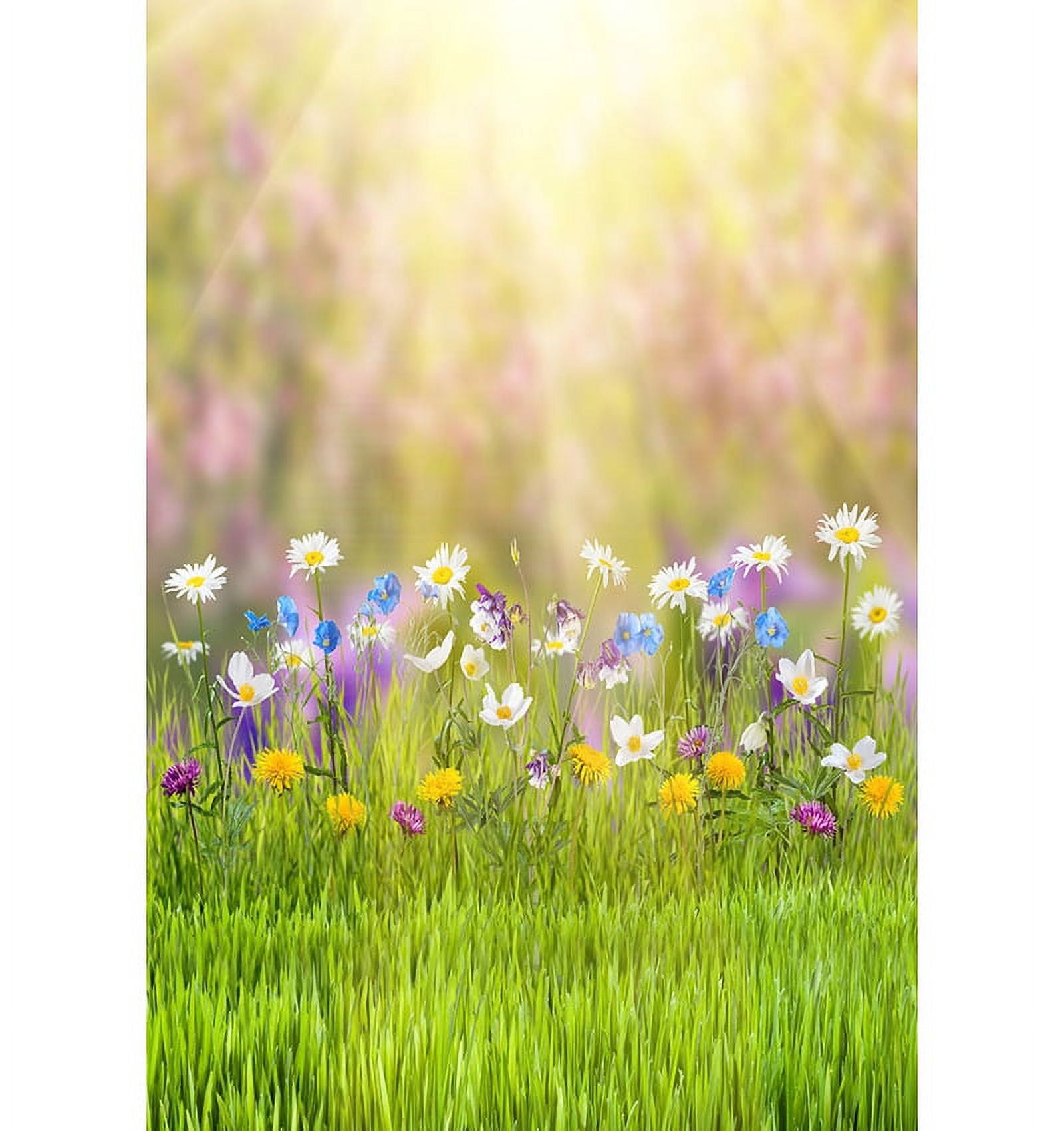 MEHOFOTO Easter Green Spring Flowers Grass sunshine landscape ...