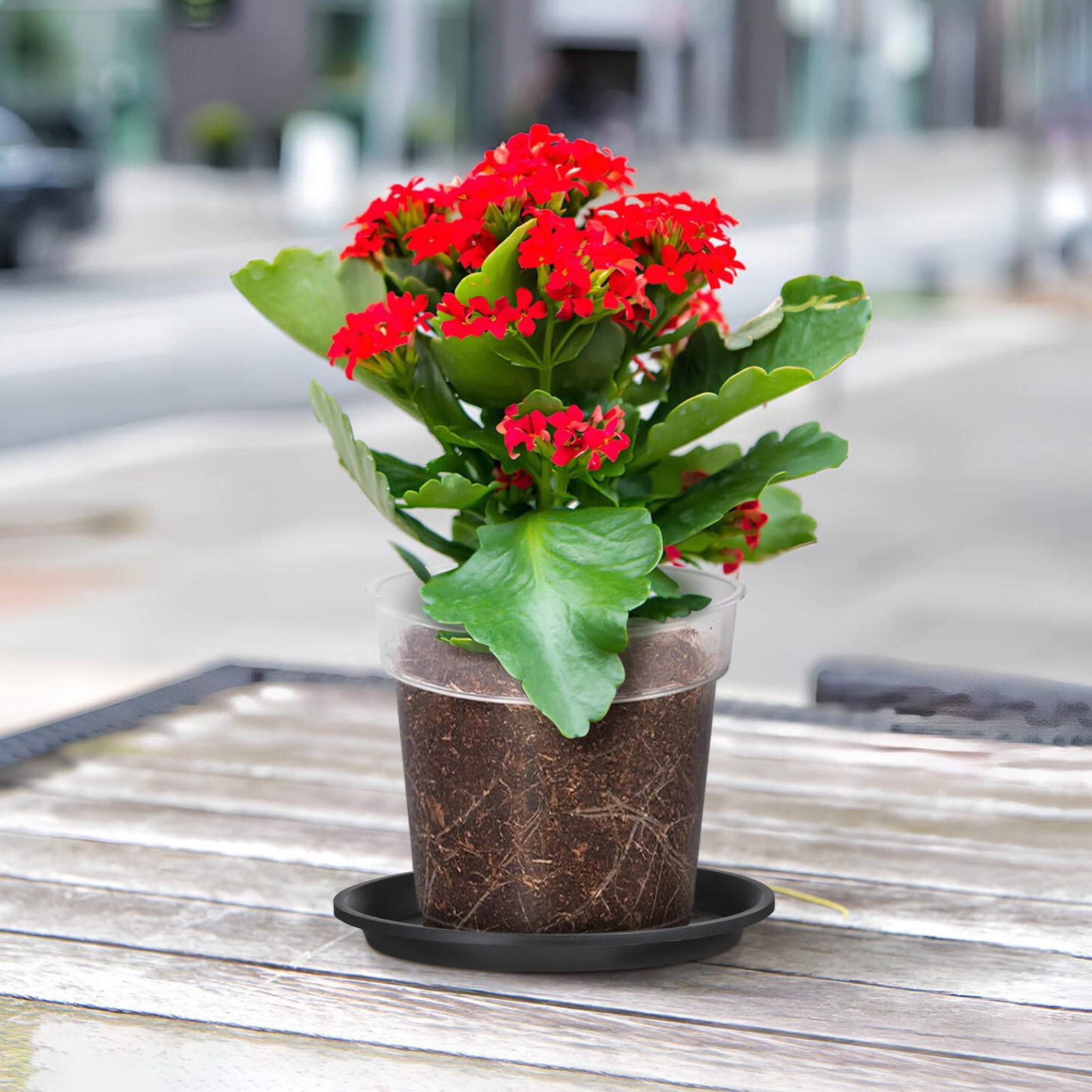 MEIBUTYUP 10pcs Planting Tray Black PP Soil Containment Garden ...