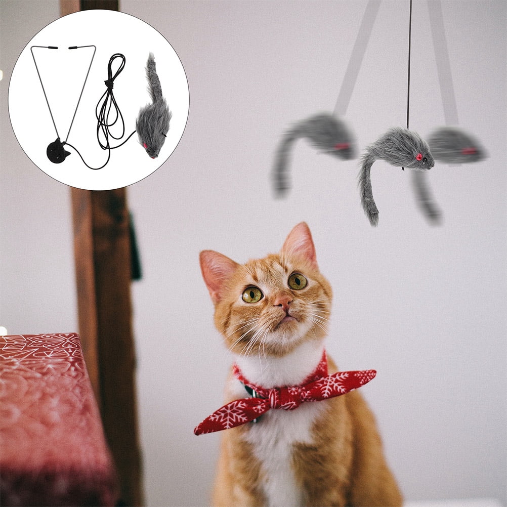 MEIBUTYUP Retractable Cat Teaser 1 Set for Interactive Play, Exercise ...