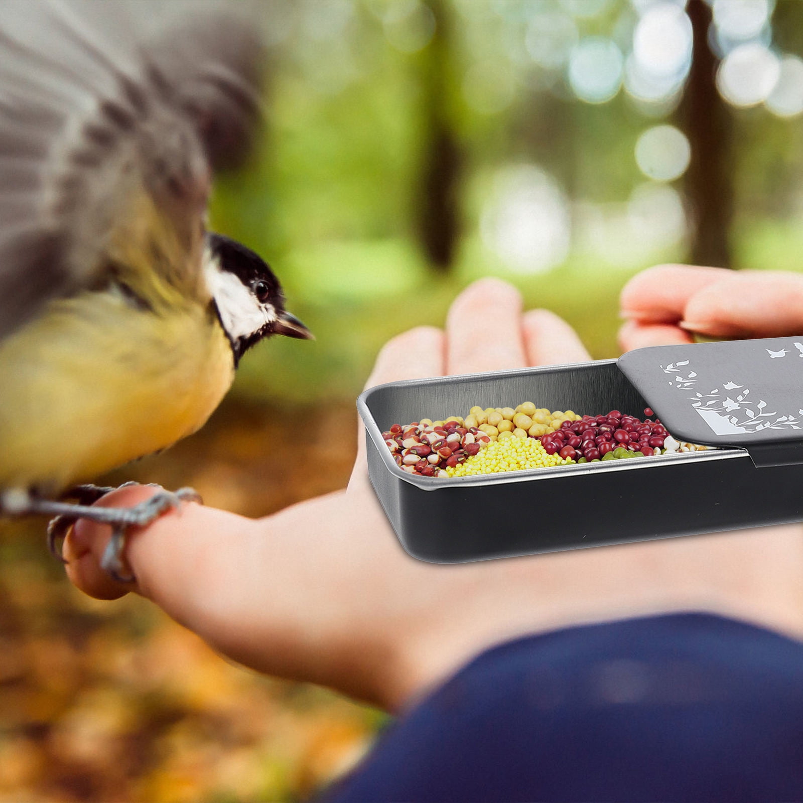MEIBUTYUP 2Pcs Bird Food Boxes Black Tinplate Material Bird Feed ...