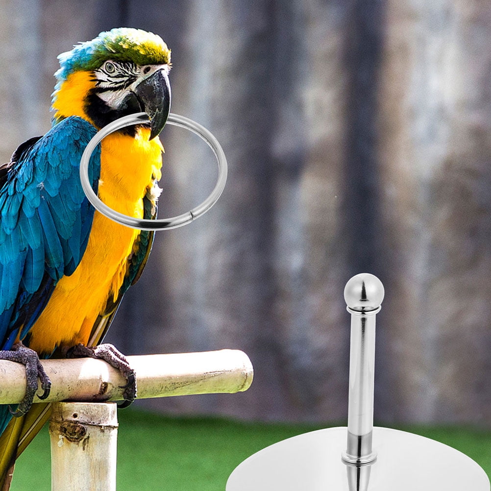 MEIBUTYUP 2-Pack Galvanized Metal Parrot Toys with Fun Design for Pet ...